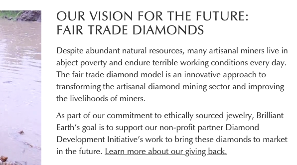 Boycott Conflict Free Diamonds